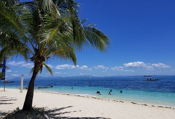 Diving with Thresher Sharks in Malapascua Island, Philippines - Becky ...