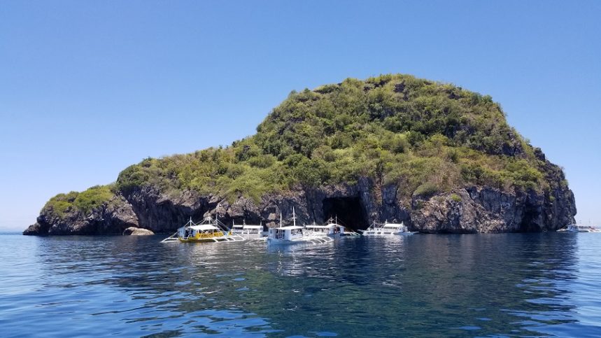 Diving with Thresher Sharks in Malapascua Island, Philippines - Becky ...