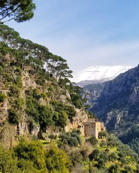 10 Things Not to Miss When Visiting Lebanon - Becky Exploring