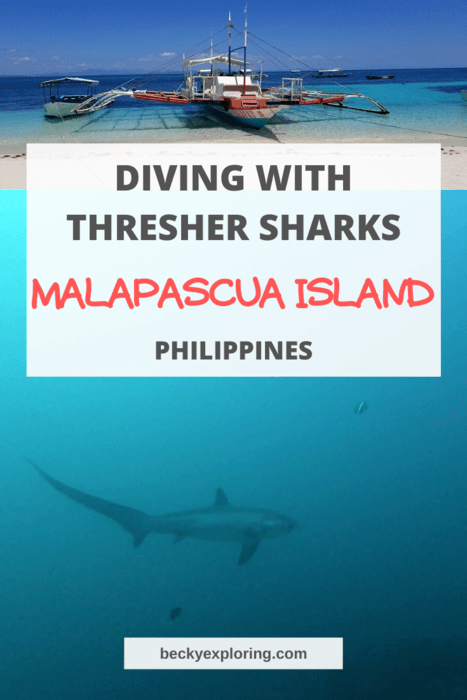 Diving with Thresher Sharks in Malapascua Island, Philippines - Becky ...