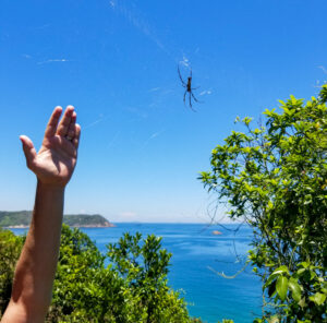 10 Reasons I Love Living in Hong Kong - Becky Exploring