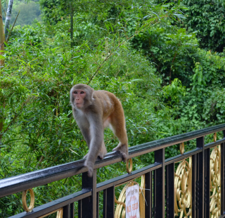10 Reasons I Love Living in Hong Kong - Becky Exploring