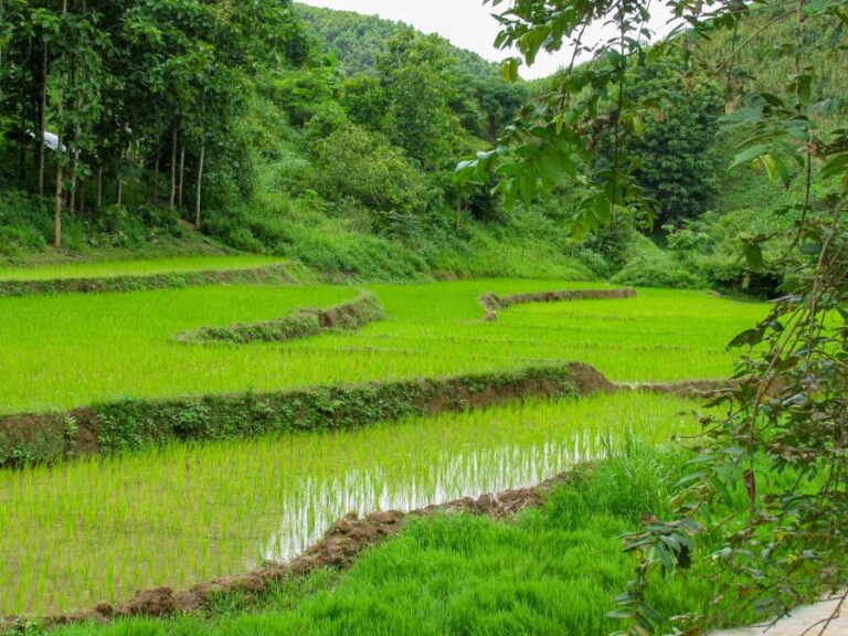 6 Beautiful Places to Visit in Laos - Becky Exploring