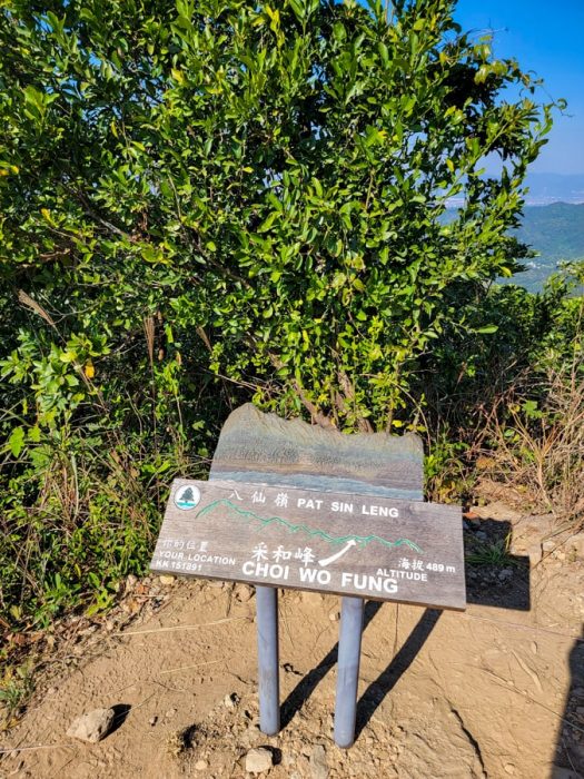 How to Hike Pat Sin Leng – The 8 Immortals and Wong Leng - Becky Exploring