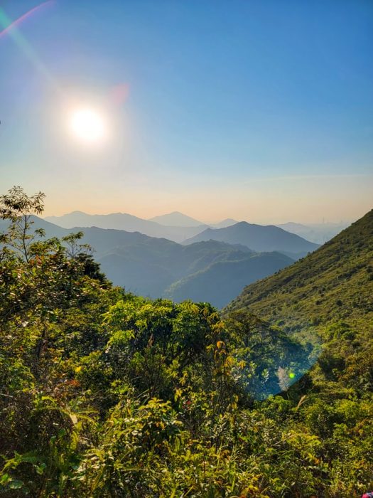 How to Hike Pat Sin Leng – The 8 Immortals and Wong Leng - Becky Exploring