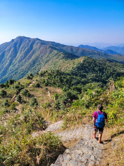 How to Hike Pat Sin Leng – The 8 Immortals and Wong Leng - Becky Exploring