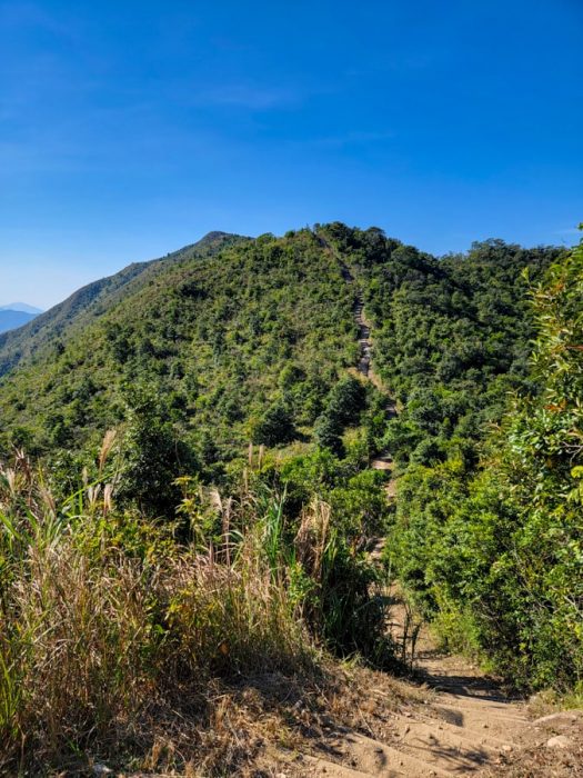 How to Hike Pat Sin Leng – The 8 Immortals and Wong Leng - Becky Exploring