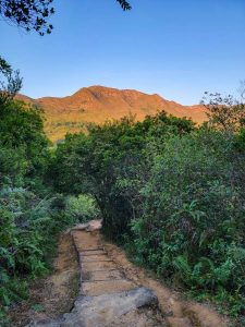 How to Hike Pat Sin Leng – The 8 Immortals and Wong Leng - Becky Exploring