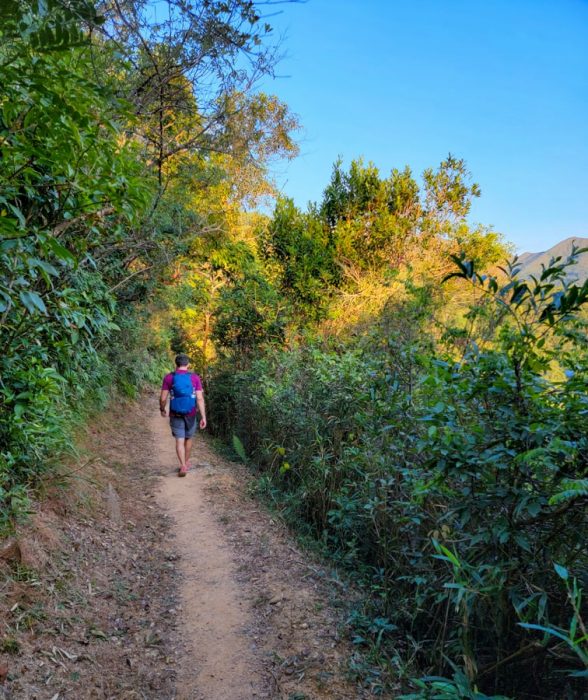 How to Hike Pat Sin Leng – The 8 Immortals and Wong Leng - Becky Exploring