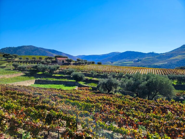 How to Plan an Amazing Trip to Portugal - Becky Exploring