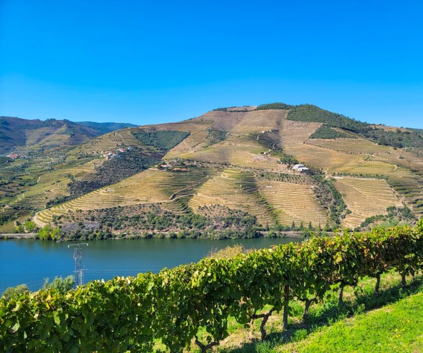 How to Plan an Unforgettable Trip to the Douro Valley - Becky Exploring