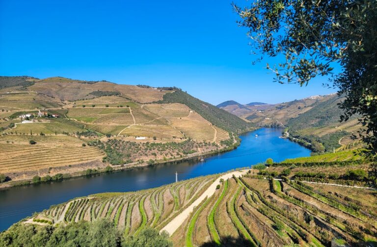 How to Plan an Unforgettable Trip to the Douro Valley - Becky Exploring