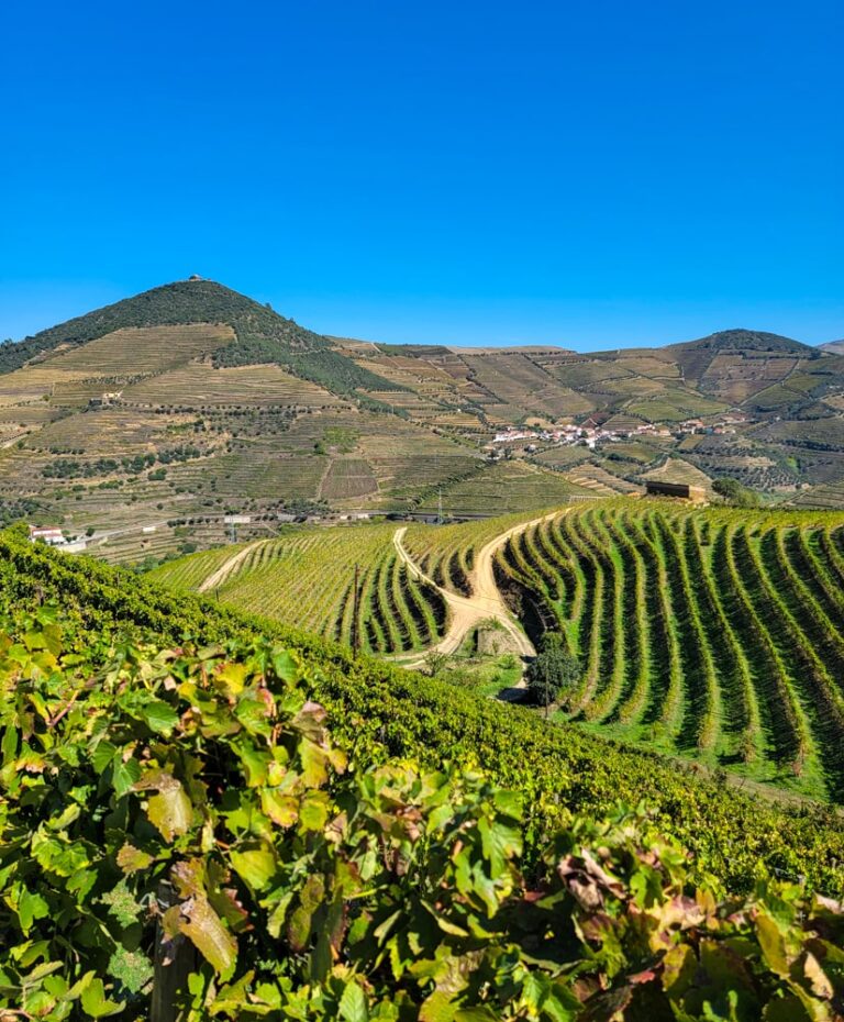 How to Plan an Unforgettable Trip to the Douro Valley - Becky Exploring