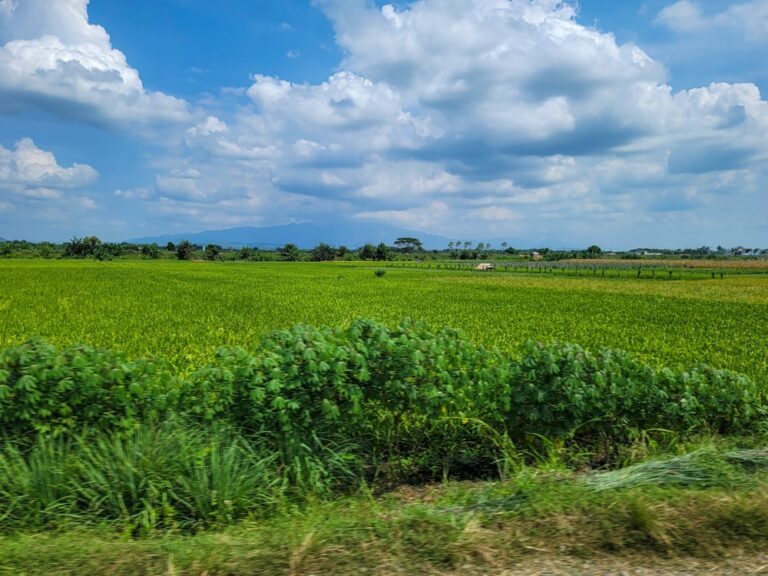 Riding the Train in Java: What You Need to Know - Becky Exploring