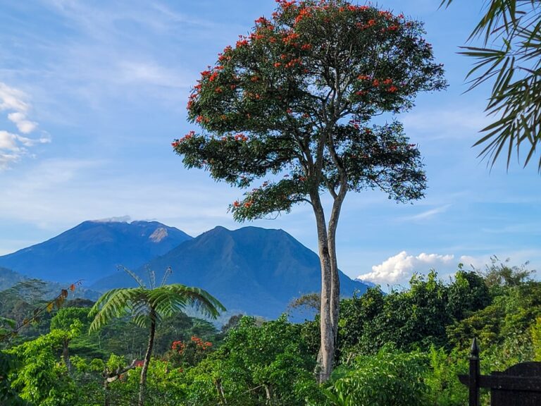 The Best Way to Visit Mount Telomoyo in Central Java - Becky Exploring