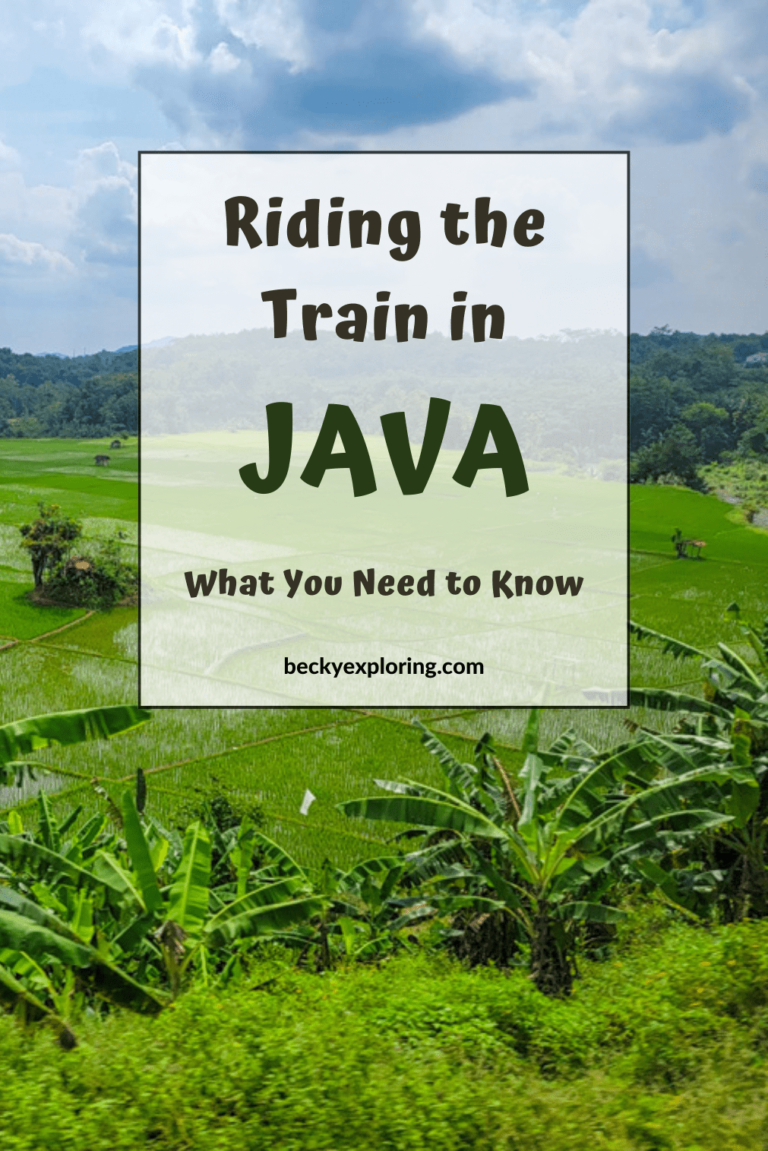 Riding the Train in Java: What You Need to Know - Becky Exploring