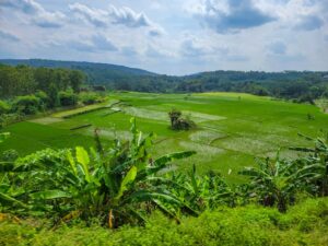 Riding the Train in Java: What You Need to Know - Becky Exploring