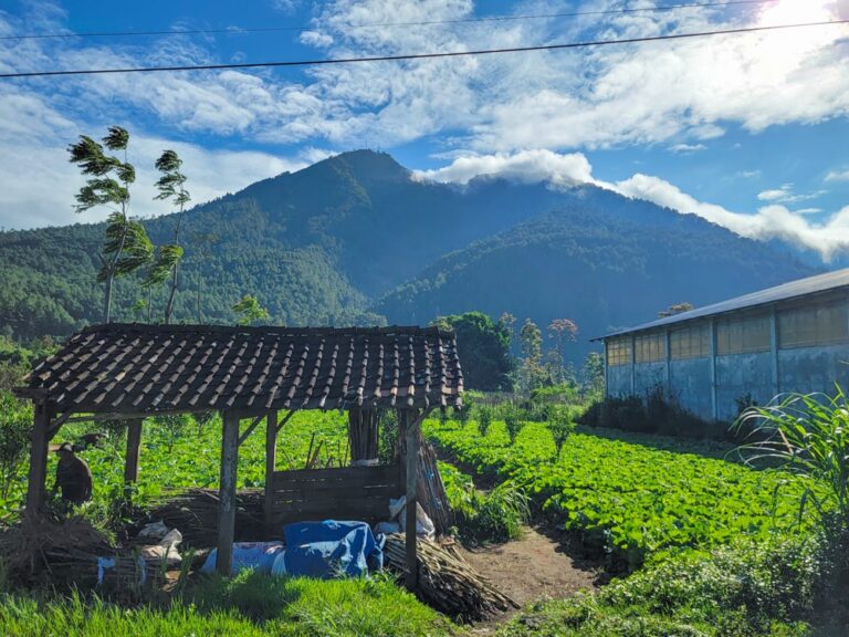 The Best Way to Visit Mount Telomoyo in Central Java - Becky Exploring