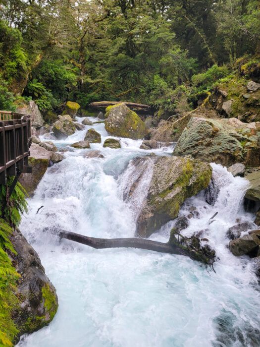 An Awesome Day in Milford Sound, New Zealand - Becky Exploring