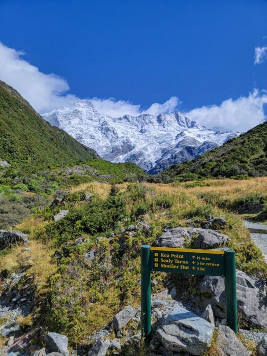 How to Spend 3 Days in Lake Tekapo and Mt. Cook - Becky Exploring